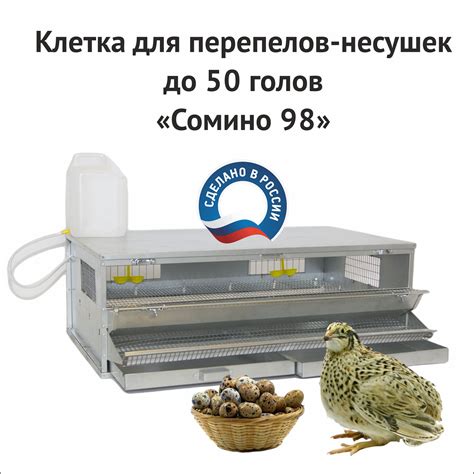 Клетка для Перепелов купить на OZON по низкой цене