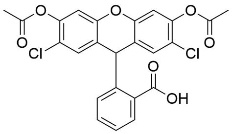 H2dcfda 2′7′ Dichlorodihydrofluorescein Diacetate