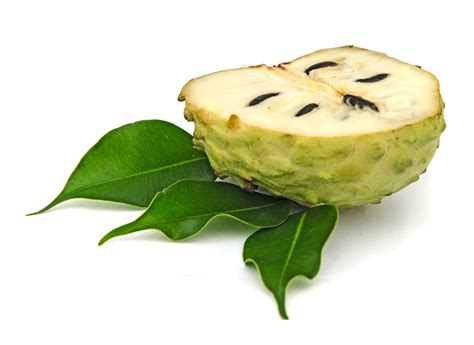 Soursop Cancer Killer