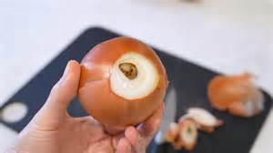 양파 보관법 여기를 자르지 마세요 ‘이렇게 두면 1달 이상 쌩쌩해요