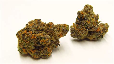 Pound Cake Strain Review Westword