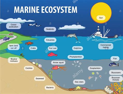 Ecosystem And Components Of Ecosystem तरुमहिमन्