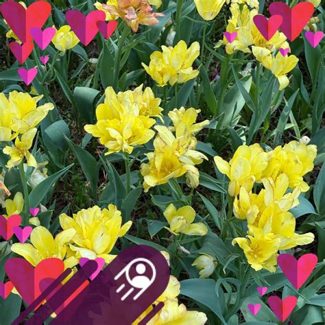 Hioki Japan（日置電機） Added A New Photo Hioki Japan（日置電機）