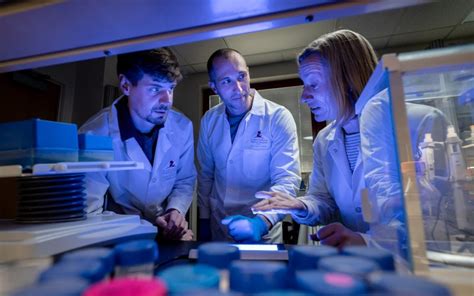 Higher Order Spop Assembly Reveals A Basis For Cancer Mutant