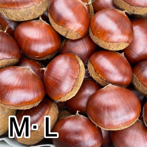 生栗 栗 くり 無農薬 1 5キロ メルカリ