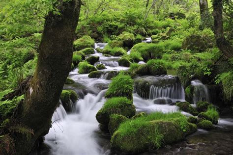 木谷沢渓流の絶景｜zekkei Japan
