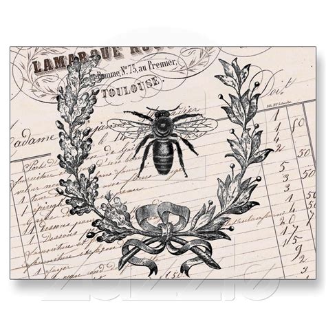 Vintage French Chic Honey Bee Postcard Zazzle Vintage Honey Bee