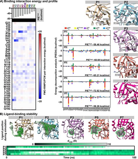 A Fmorimp Pcm Interaction Energy Profile Of Rubraxanthone Binding