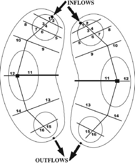 Location Of 16 Sediment Trap Stations In Each Experimental Wetland At Download Scientific Location Of 16 Sediment Trap Stations In Each Experimental Wetland At Download Scientific