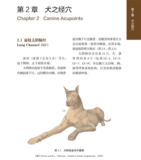 犬针灸穴位图谱详情 好兽医学苑 中国兽医继续教育平台
