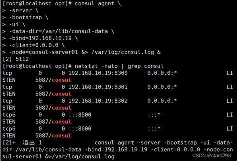 docker consul的容器服务更新与发现 服务发现更新信息 csdn博客