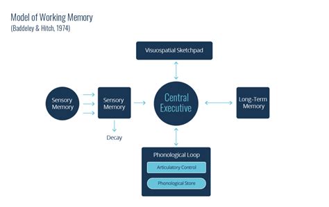 Information Processing Theory Information Processing Theory