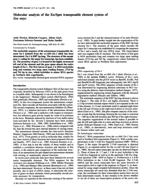 Pdf Molecular Analysis Of The En Spm Transposable Element Of Zea Mays