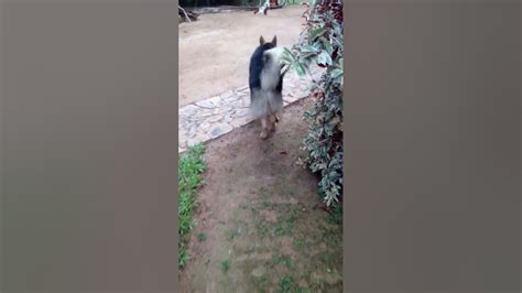 පස්ස පස්ස පස්ස 😁 Youtube