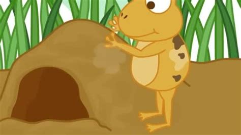 두꺼비 집이 여물까 네이버 Tv