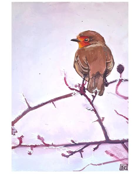 A Winter Robin Who Felt The Perfect Subject For The Recent Frosty Mornings Here In The Uk Oc