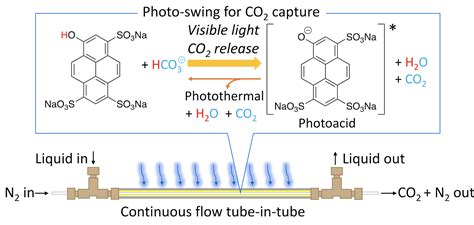 Seo Research Group Publications