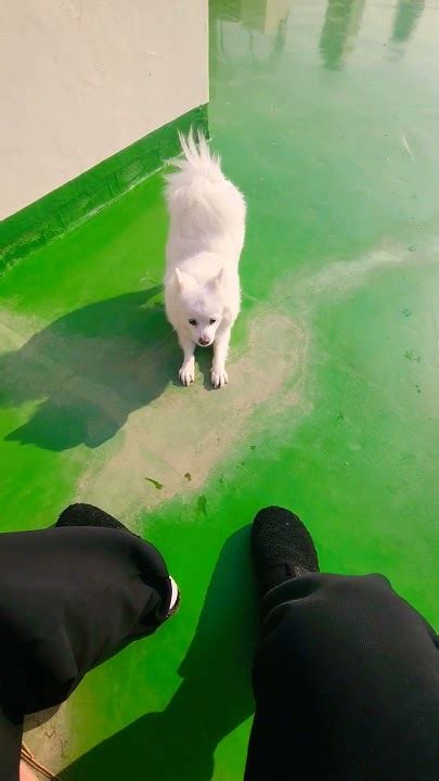 소림사에서 수련중 Youtube