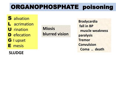 Cholinergic Drugs Ppt