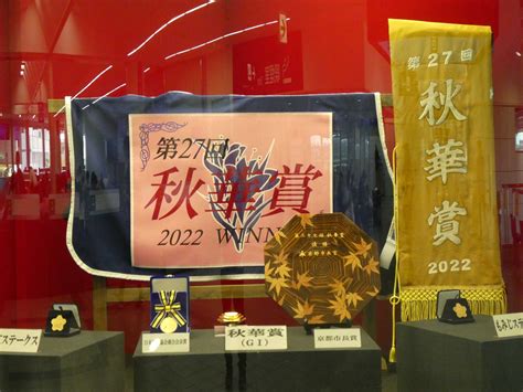 【秋華賞】気高く咲き誇れ、女王の品格に秋が恋をする。（スタニングローズ） 白い稲妻・多摩の黒酢（たまの くろす） ほぼ競馬なブログ