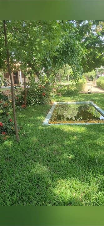 திருவண்ணாமலை சென்று வந்தால் போதும் Shortsfeed Minivlog Tiruvannamalai Life Shorts Tamil