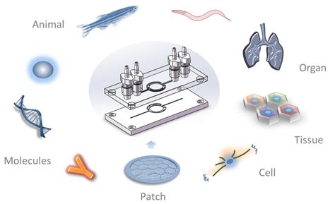 Mesobiotech Inspiration Invention And Innovation
