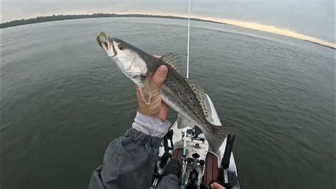 Tips On How To Catch More Trout Youtube