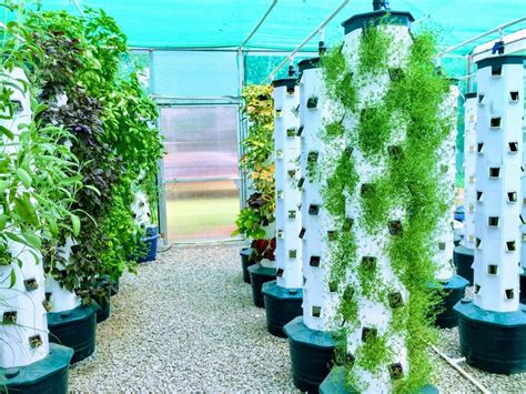 Automatic Plastic Vertical Hydroponic Systems Capacity Pods At