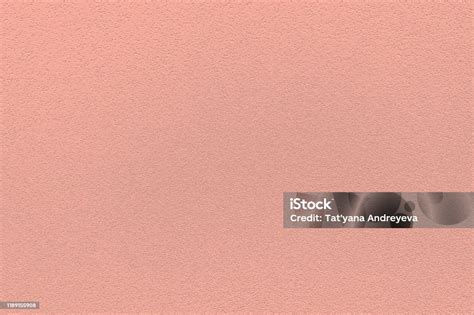 뉴욕 패션 위크에서 봄 여름 2020 시즌의 유행 산호 핑크 팬톤 색상 컬러 다공성 고무의 질감 현대 럭셔리 배경 또는 텍스트에