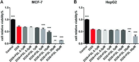 Fgl Did Not Interfere With The Antitumor Effect Of Dox A B The