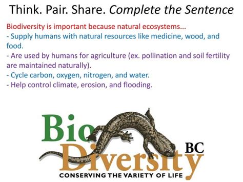 02 Classifying Species Pptx Geography Science