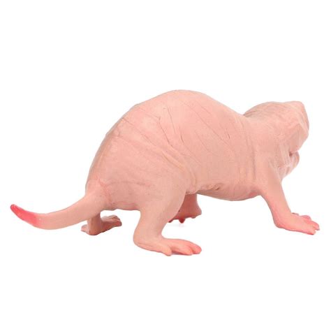 Plastic Mole Figurine Toy Simulation Static Full Core Naked Mole Model