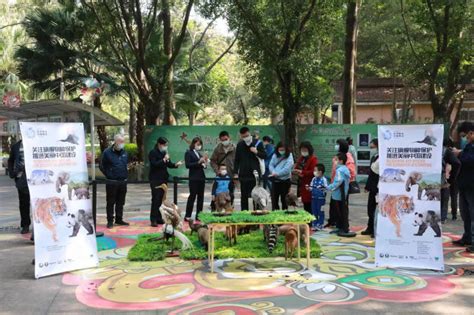 丰富多彩！“世界野生动植物日”主题活动在广州开展保护物种陆生
