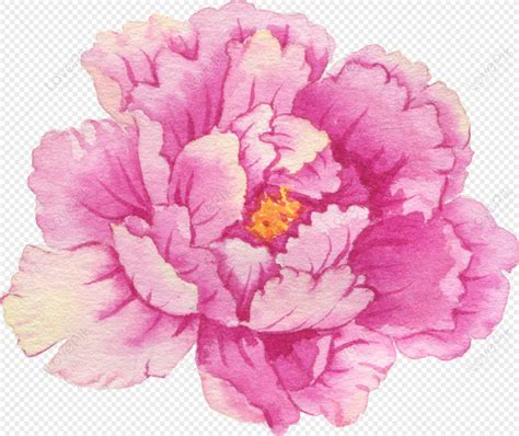 水彩 牡丹花png圖案素材免費下載，圖片尺寸356 × 300px Lovepik