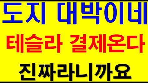 도지 도지 테슬라 결제 진짜라니까 ㅋㅋㅋㅋ ~ 도지코인 도지 도지코인대응 Youtube