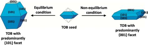 Schematic Illustration Of The Tio 2 Crystal Evolution Under Equilibrium