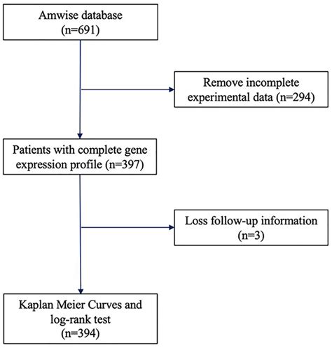 The Expression Levels Of Mir 24 3p And Il 1β In Ami Patients Download