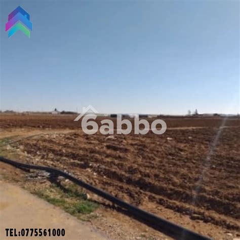 طابو العقاري ارض استثمارية مميزة للبيع مساحتها 5 دونمات و 228 متر في
