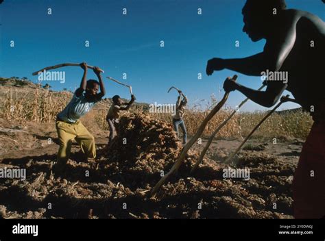Eritrea Farm Hi Res Stock Photography And Images Alamy