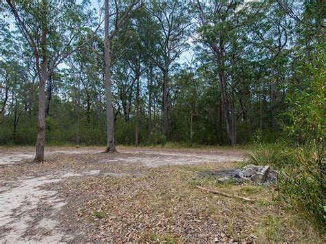 Cockatoo Picnic Area Nsw Government