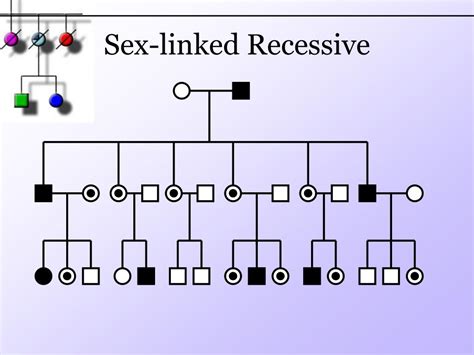 Ppt Pedigree Powerpoint Presentation Free Download Id 6606991