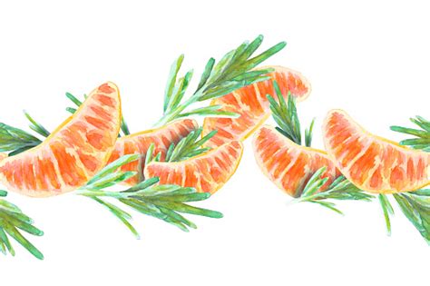 그린 오렌지 귤과 로즈마리 수채화 이음새가 없는 수평 테두리가 흰색에 고립되어 음식 디자인을 위해 손으로 그린 것입니다 0명에