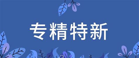喜讯 芯动力荣获广东省“专精特新”企业认定！ 芯动力科技azurengineai芯片国产芯片人工智能
