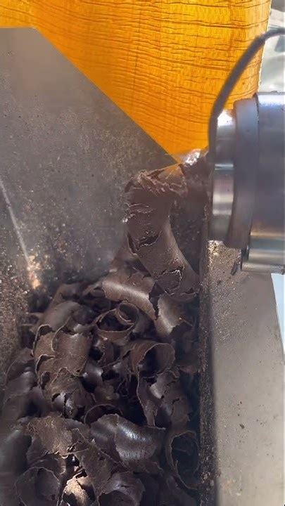 Oil Press Cold Press Cacao Pressflaxseed Oilflaxseed Press 참기름기계기름짜는기계저온착유기소형착유기 Youtube