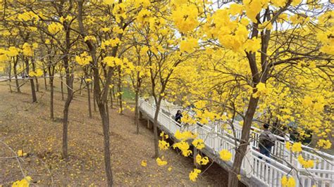 广西多地现回南天 广西高清图片 中国天气网
