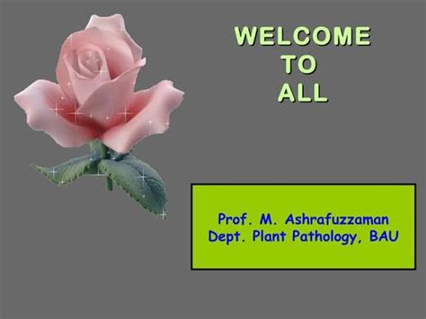 Sexual Reproduction In Fungi Basidiospore