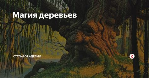 Магия деревьев | Статьи от Аделии | Дзен