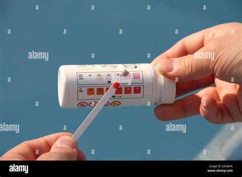 Test Water In The Pool For Chlorine Content Stock Photo Alamy