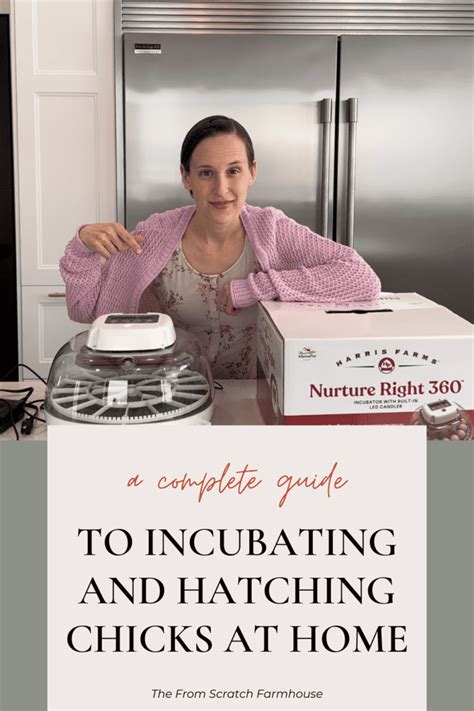 How To Hatch Chicken Eggs Nurture Right Incubator Review The From
