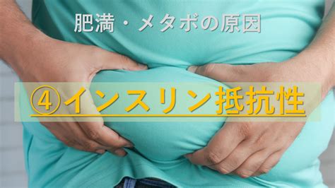 肥満・メタボの原因 ④インスリン抵抗性｜健康資産 Healthful Assets